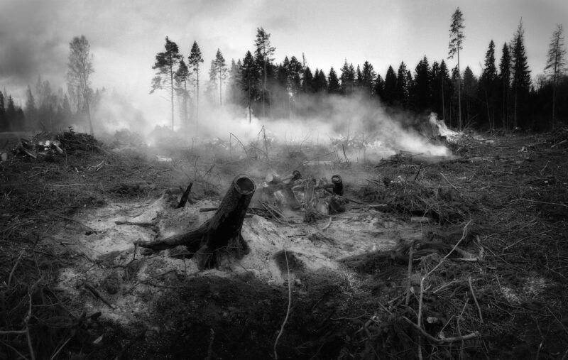 Zombie fires – weird phenomenon is becoming a norm - Yesselman.com